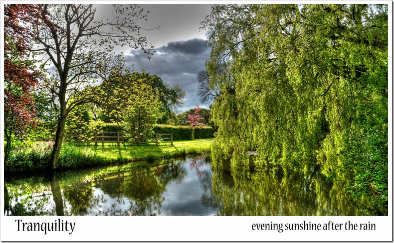 davesdistrictblog: May 2009